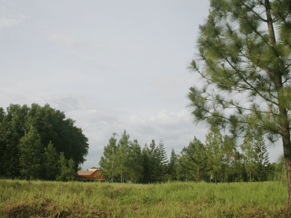 Lots for Sale in the Philippines | AllProperties